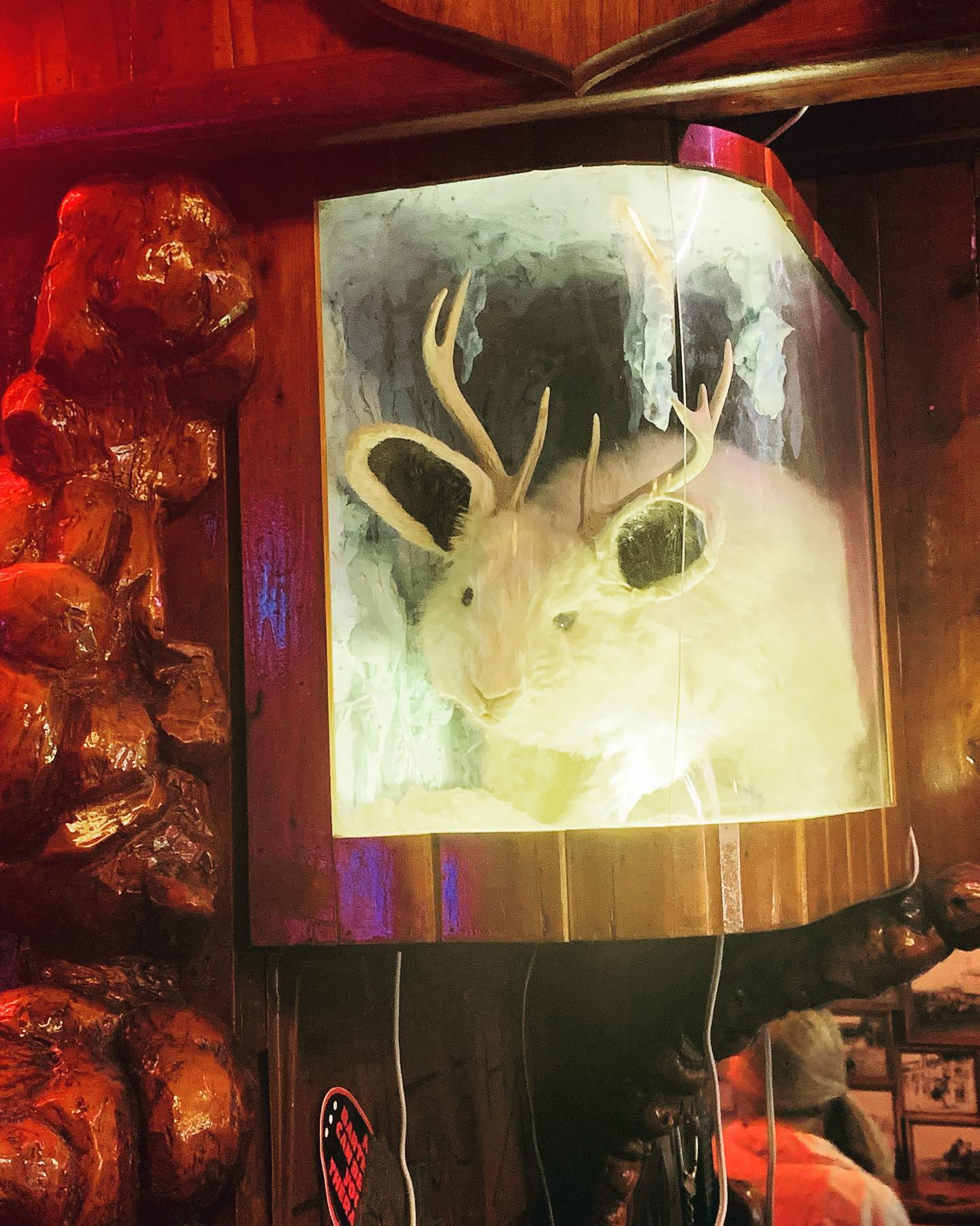 The Origin of the Jackalope in Wyoming – THE MINT BAR WYO